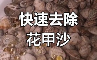 花甲怎么处理干净_花甲怎么吐沙最快