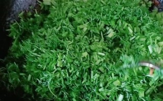 茴香苗包子馅怎么调_茴香苗包子馅的做法窍门