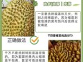 榴莲怎么挑选才肉多多_榴莲挑选技巧