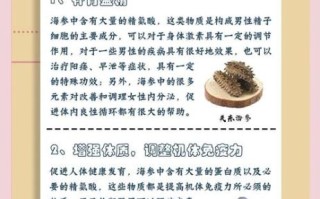 海参的功效与作用及食用方法_海参怎么吃最营养
