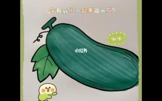 冬瓜图片可爱_冬瓜为什么看起来萌萌哒