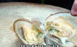 河蚌肉怎么做好吃_河蚌肉的家常做法大全
