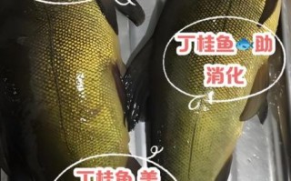 丁桂鱼怎么做好吃_丁桂鱼家常做法大全