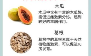 吃什么丰胸最快_丰胸食物有哪些