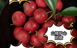 吃山楂的好处和坏处_山楂吃多了会怎样
