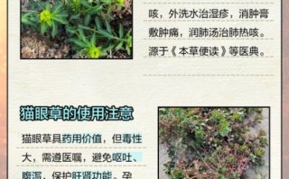 猫眼草的功效与作用_猫眼草能治什么病