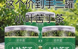 苦丁茶降血压吗_苦丁茶怎么喝才有效