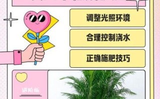 凤尾竹怎么养_凤尾竹叶子发黄怎么办