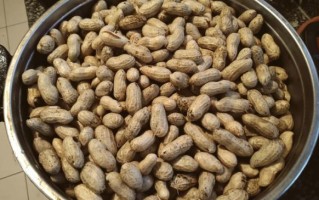 水煮花生要煮多久_水煮花生煮多久才入味