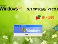 萝卜家园xp系统下载_安装教程