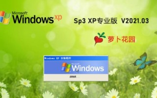 萝卜家园xp系统下载_安装教程
