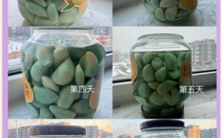 腊八蒜一夜变绿窍门_为什么腊八蒜能变绿