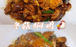 冬菇焖鸡怎么做_冬菇焖鸡用干菇还是鲜菇