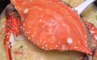 海鲜粥用什么螃蟹最好_螃蟹品种怎么选