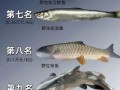 淡水鱼价格排名_哪种淡水鱼最贵