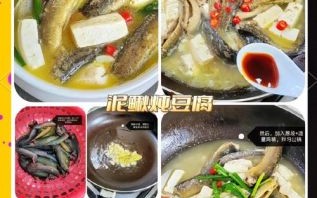 家常炖泥鳅怎么做_泥鳅去腥技巧