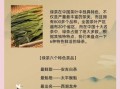 绿茶包括哪些茶叶_绿茶品种大全