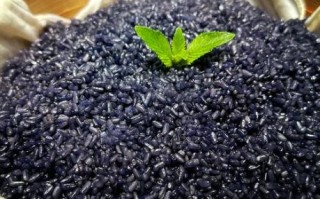 乌米饭哪些人不宜吃_孕妇能吃吗