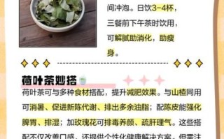 荷叶茶怎么喝减肥快_荷叶茶减肥的正确喝法