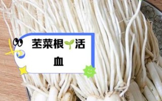 通菜根的功效与作用_通菜根怎么吃最好