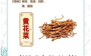 黄花菜的功效与禁忌_哪些人不能吃黄花菜