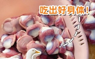 鸭肫的功效与作用_鸭肫的营养价值有哪些