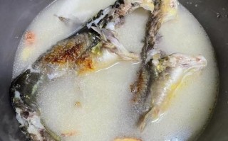 黄鱼汤怎么做_黄鱼汤去腥技巧