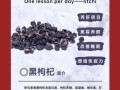 黑枸杞子有什么功效_黑枸杞子的作用与禁忌