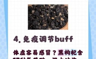 黑枸杞子泡水喝的功效与作用_黑枸杞能天天喝吗