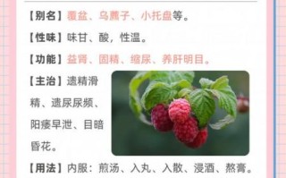 覆盆子图片_覆盆子功效与作用