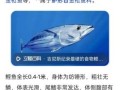 鲣怎么读_鲣鱼是什么鱼