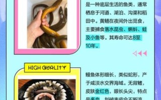 黄鳗鱼是什么鱼_黄鳗鱼有毒吗