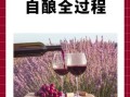 葡萄酒的做法比例_自酿葡萄酒配方比例是多少