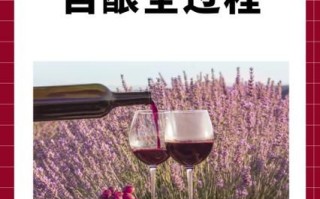 葡萄酒的做法比例_自酿葡萄酒配方比例是多少