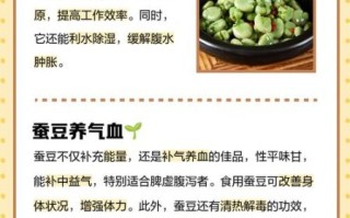 常吃蚕豆有什么好处_蚕豆的营养价值与功效