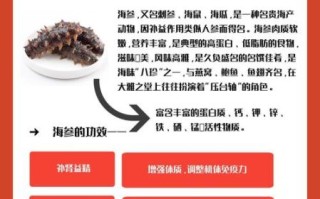 海参怎么吃最营养_海参的功效与作用有哪些