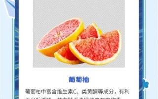 解酒食物有哪些_酒后吃什么最快