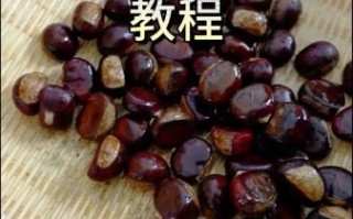 在家怎么做糖炒板栗_糖炒板栗要不要先泡水