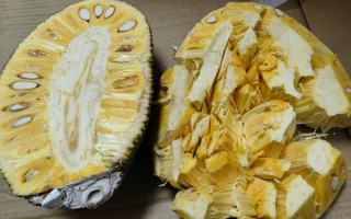 菠萝蜜怎么剥皮_菠萝蜜剥皮视频教程