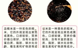 紫米和黑米哪个更补血_紫米怎么煮才软糯 紫米和黑米哪个更补血_紫米怎么煮才软糯