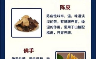 胃寒的人怎么调理暖胃_胃寒吃什么暖胃最快