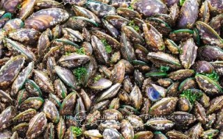 青口螺怎么清洗_青口螺的营养价值