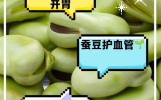 蚕豆的营养价值及功效与作用_蚕豆吃多了会上火吗