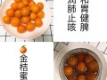 自制蜜饯的做法大全_如何保存蜜饯不返潮