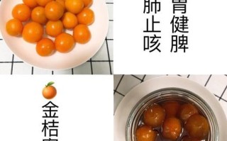 自制蜜饯的做法大全_如何保存蜜饯不返潮