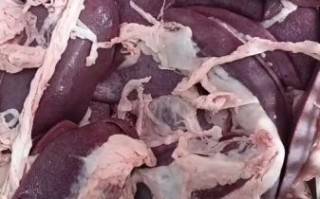 猪胰长什么样子_猪胰图片真假辨别