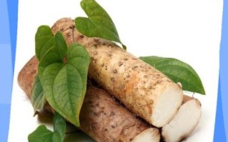 山药粘液过敏怎么办_山药削皮手痒怎么快速止痒