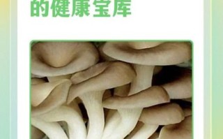 袖珍菇不能和什么一起吃_袖珍菇相克食物有哪些