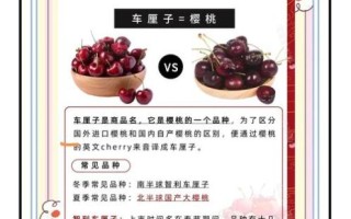 车厘子和樱桃的区别在哪里_如何一眼分辨