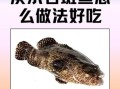 淡水石斑鱼用什么饵料_淡水石斑鱼饵料配方